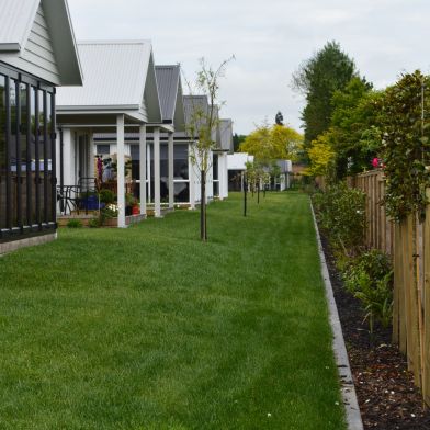 Longlands Matamata - Rapid Lawn