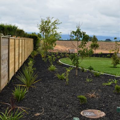 Longlands Matamata - Rapid Lawn