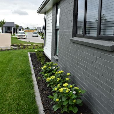 Longlands Matamata - Rapid Lawn