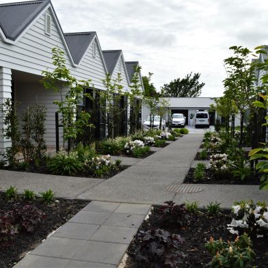 Longlands Matamata - Rapid Lawn