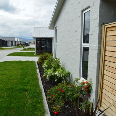 Longlands Matamata - Rapid Lawn