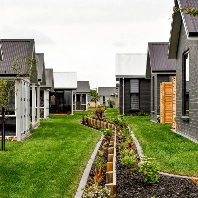 Longlands Matamata - Rapid Lawn